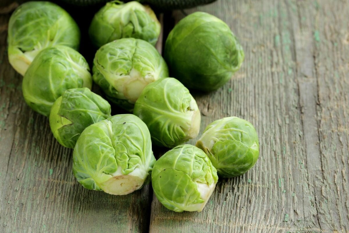 Growing Your Own Brussels Sprouts: A Step-by-Step Guide – Sow Right Seeds