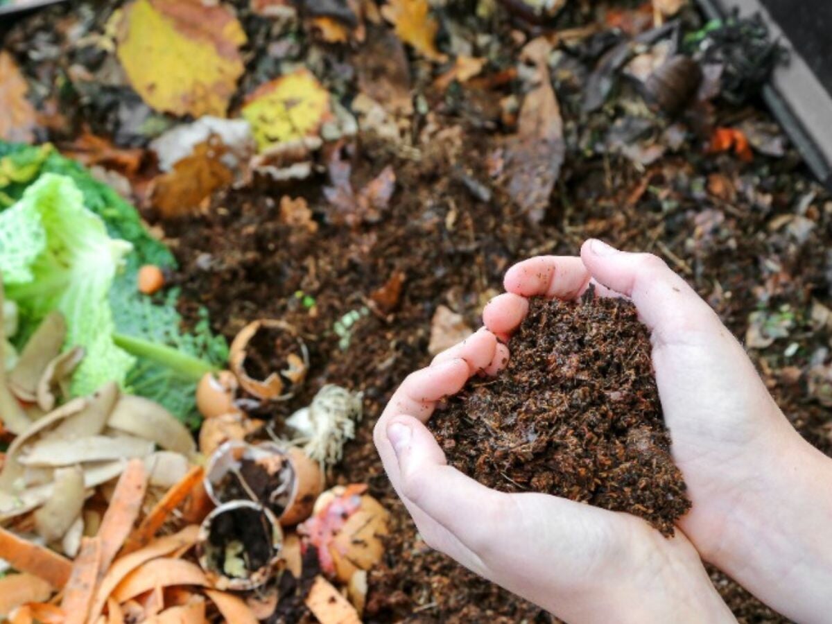 Discover the Easiest Way to Start Home Composting for Free – Sow Right ...