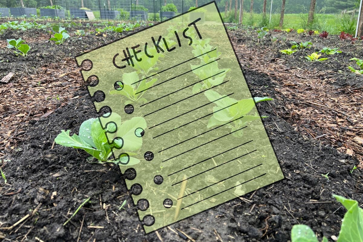 May Garden Checklist: Sow, Grow, and Celebrate Spring – Sow Right Seeds