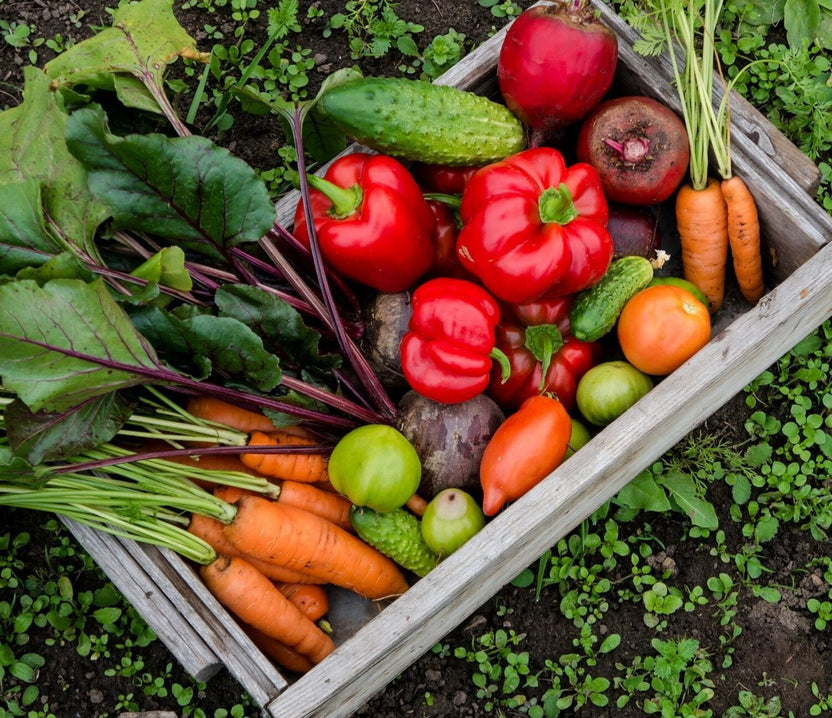 Vegetable Seeds for Sale | Classic and Rare Non-GMO Varieties – Sow ...