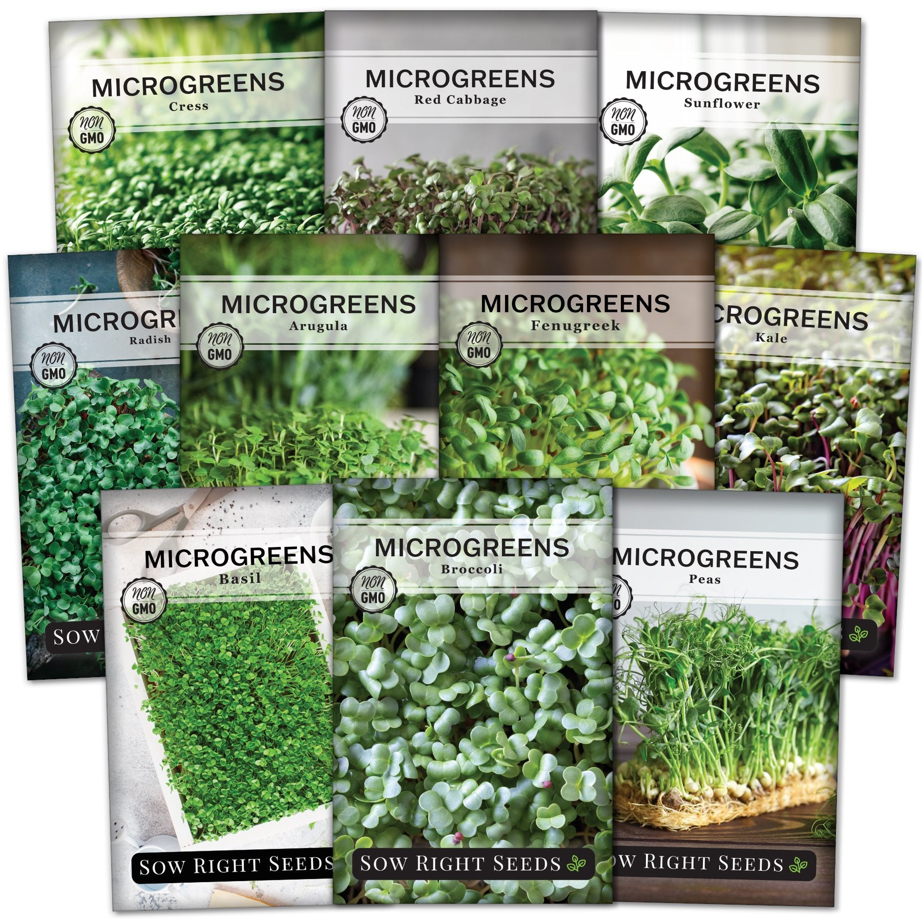 Large Microgreen Seed Collection for Sprouting - Tasty Varieties – Sow ...