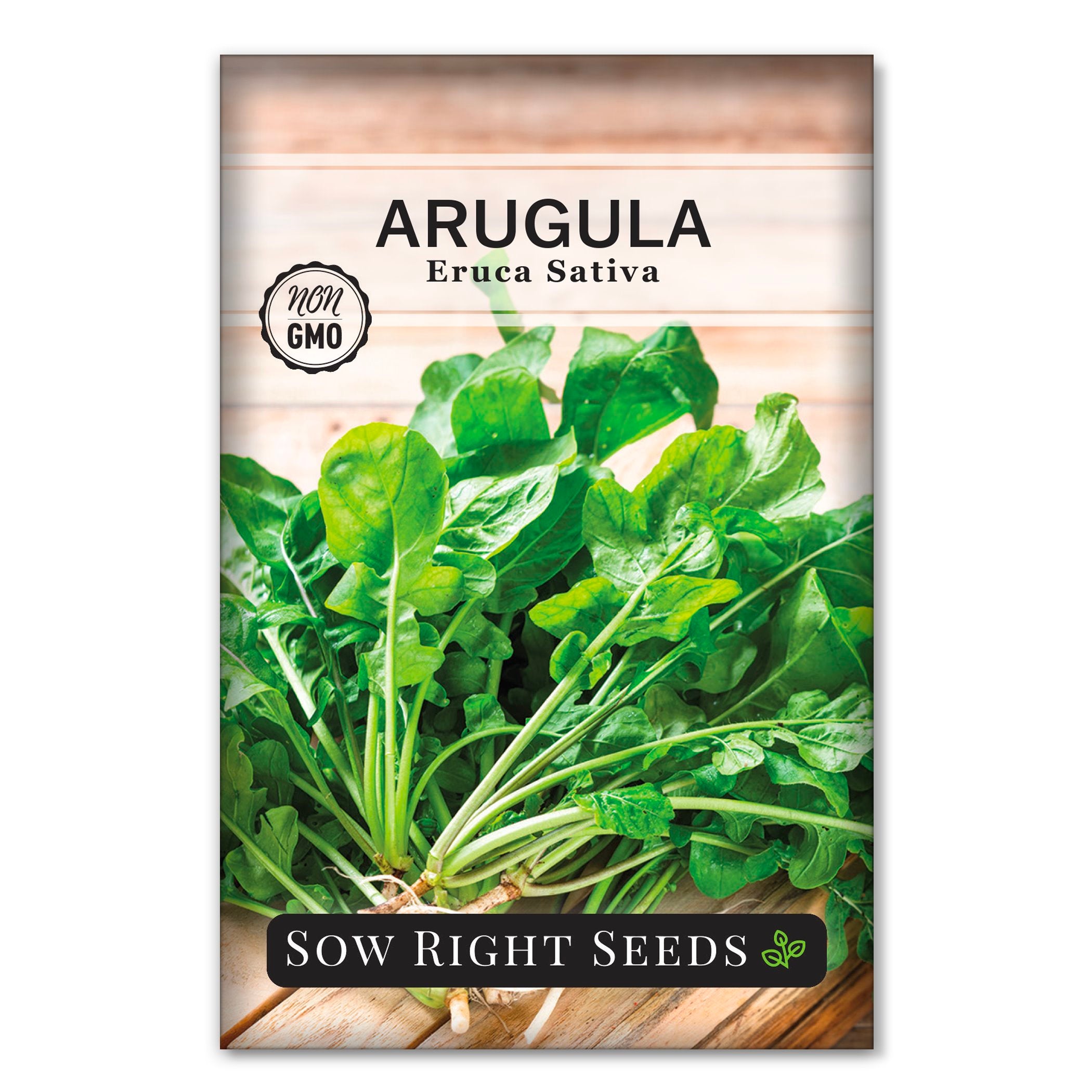Arugula Seeds for Planting | Easy to Grow Peppery Salad Green – Sow ...