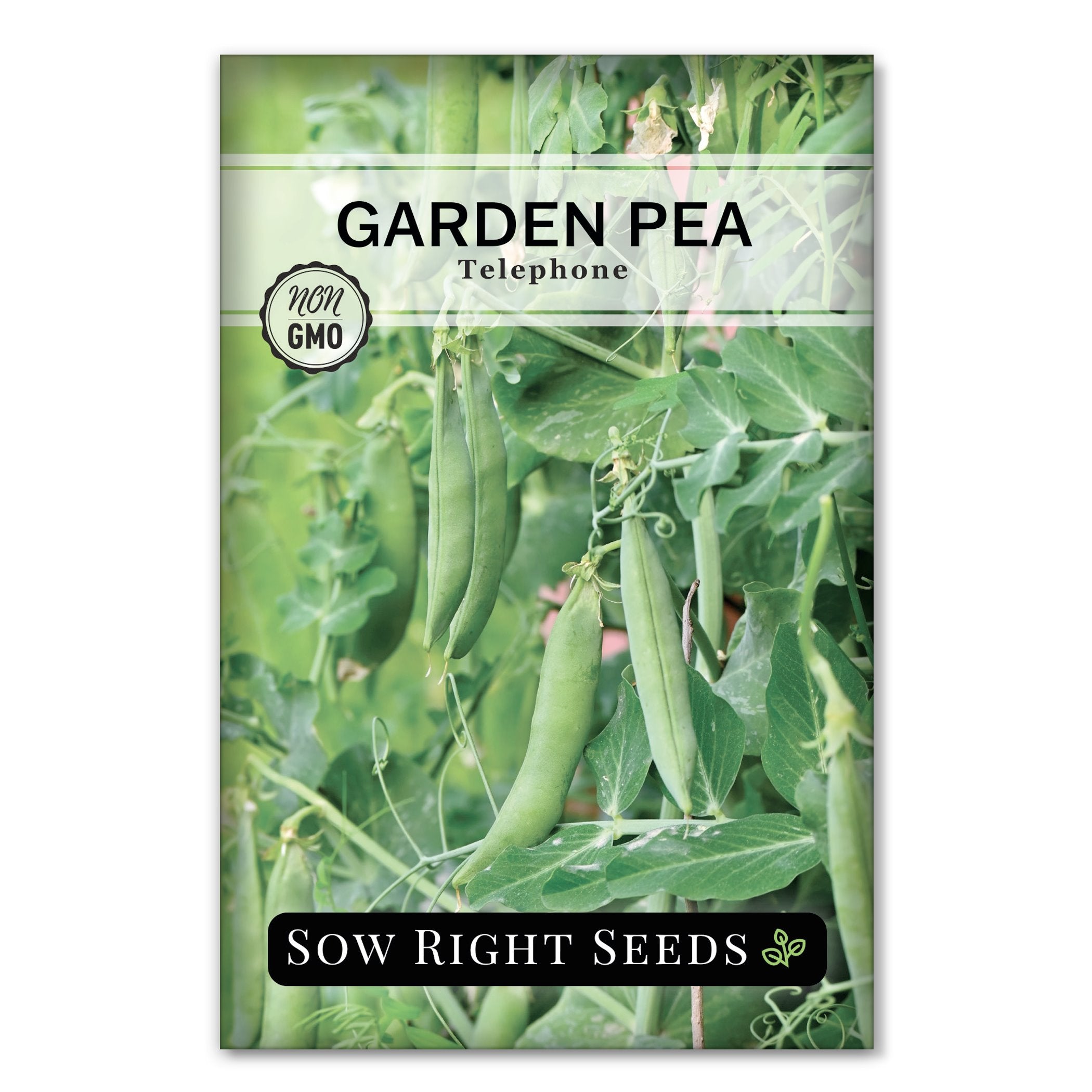Telephone Pea – Sow Right Seeds