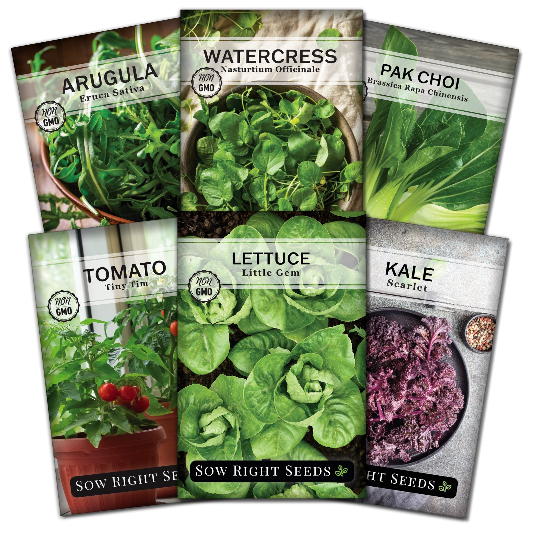 Hydroponic Vegetable Greens Seed Collection - Grow in Your Kitchen ...