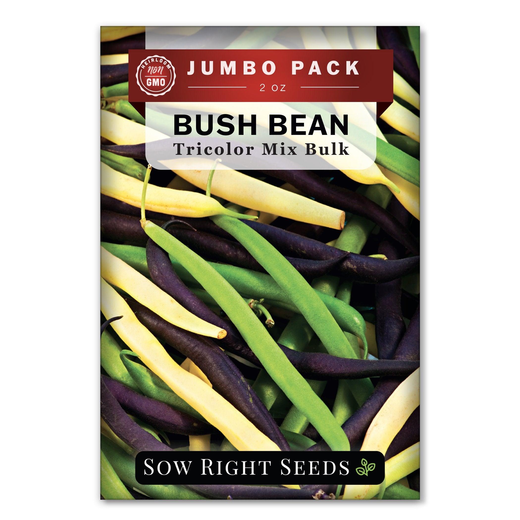 Bulk Tricolor Beans for Planting | Bean Plants with Colorful Pods – Sow ...