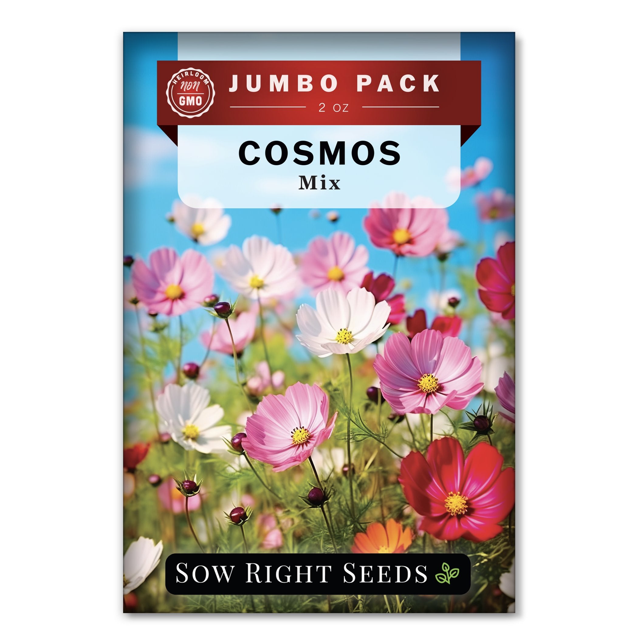 Bulk Cosmos Sensation Mix | Colorful Wildflowers for Planting – Sow ...