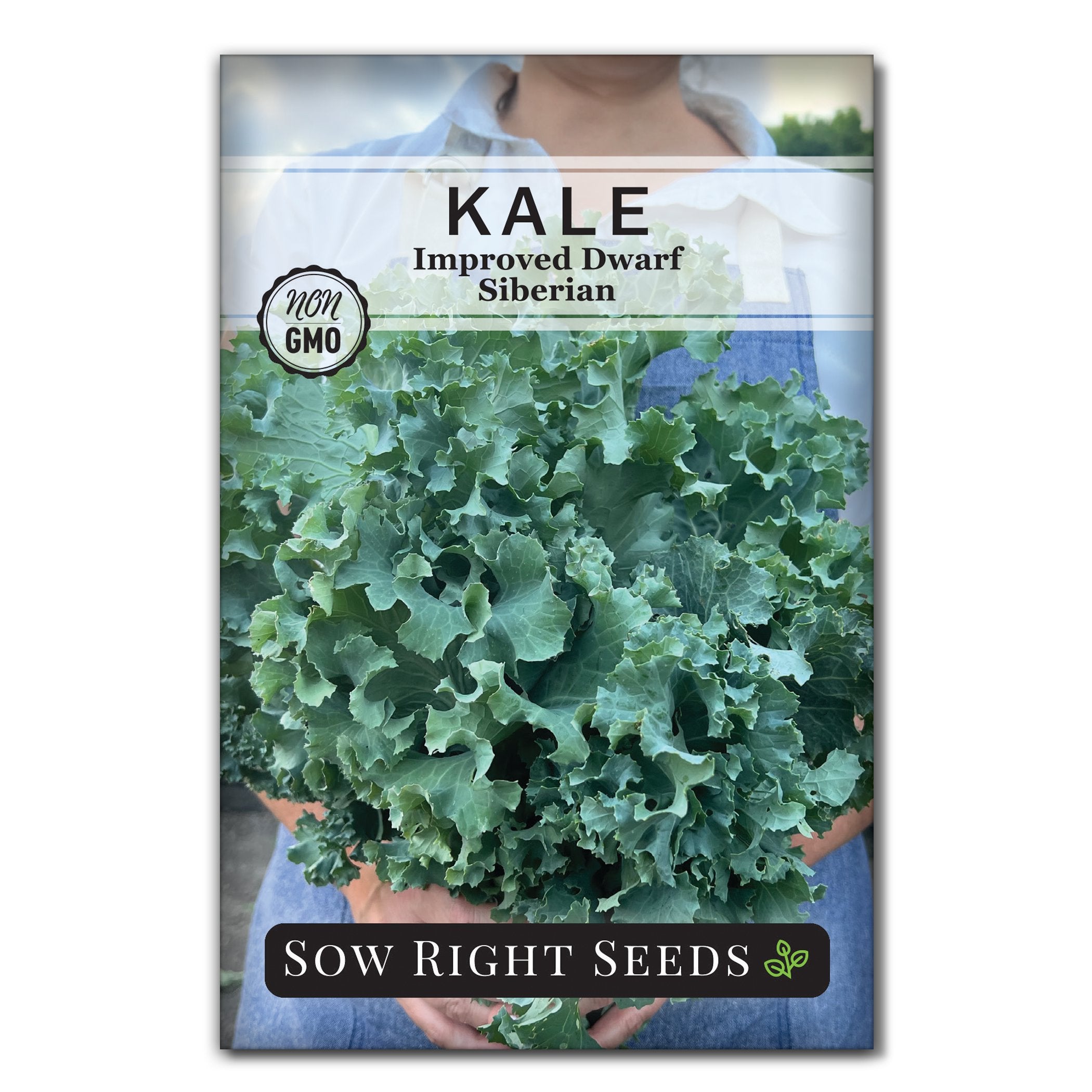 Dwarf Siberian Improved Kale for Planting | Easy to Grow – Sow Right Seeds