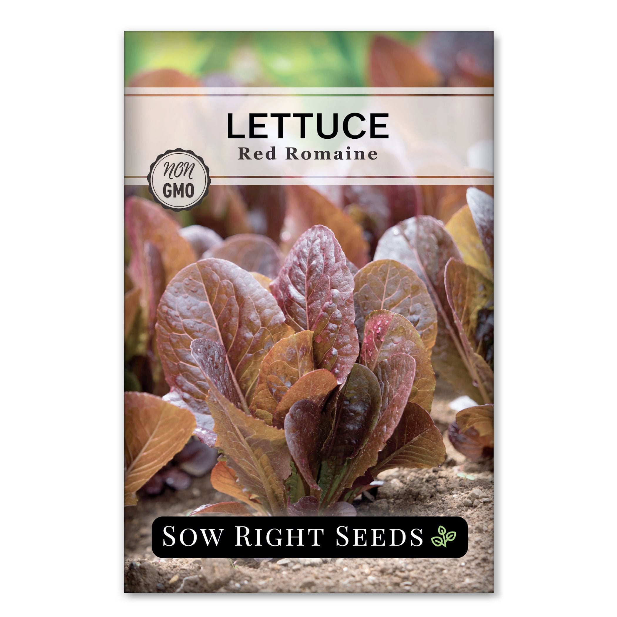 Red Romaine Lettuce – Sow Right Seeds