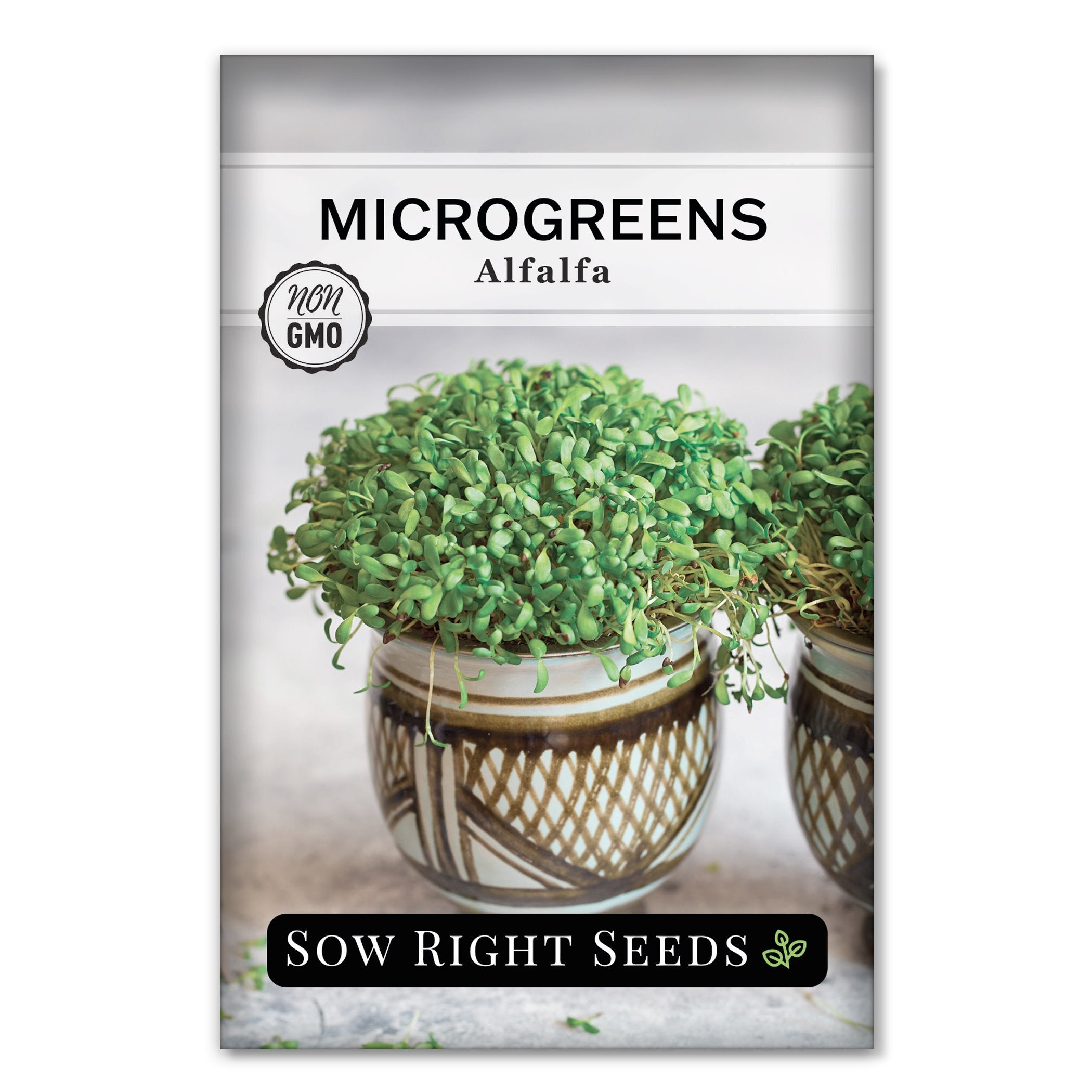 Microgreens Alfalfa - Healthy Microgreen Snack – Sow Right Seeds