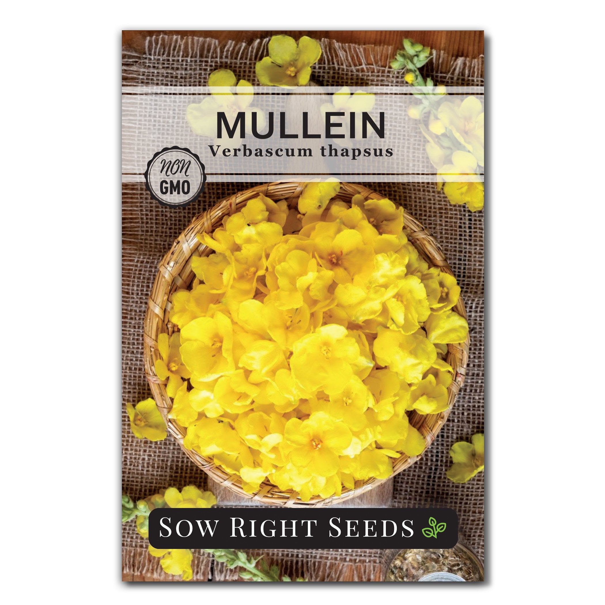 Mullein Seeds | A Versatile Medicinal Herb – Sow Right Seeds