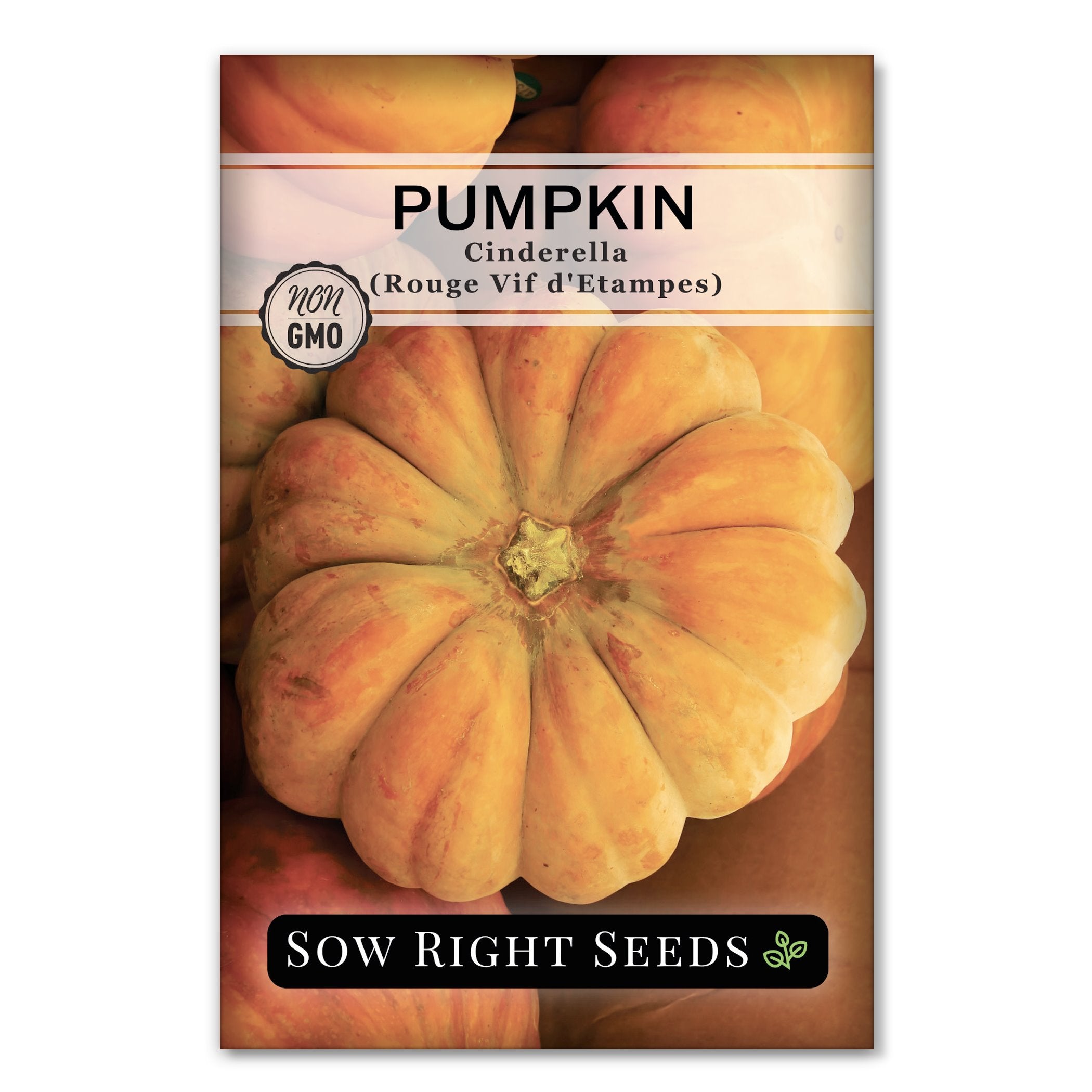 Cinderella Pumpkin – Sow Right Seeds