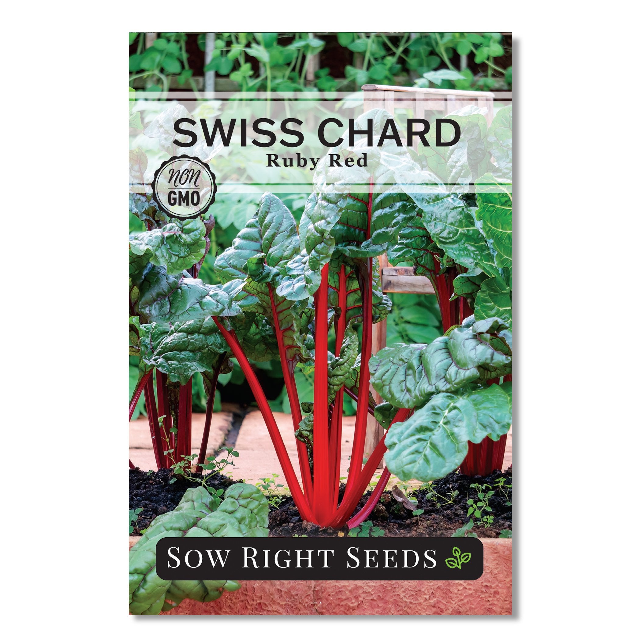 Ruby Red Swiss Chard Seeds | A Strikingly Bold Salad Green – Sow Right ...