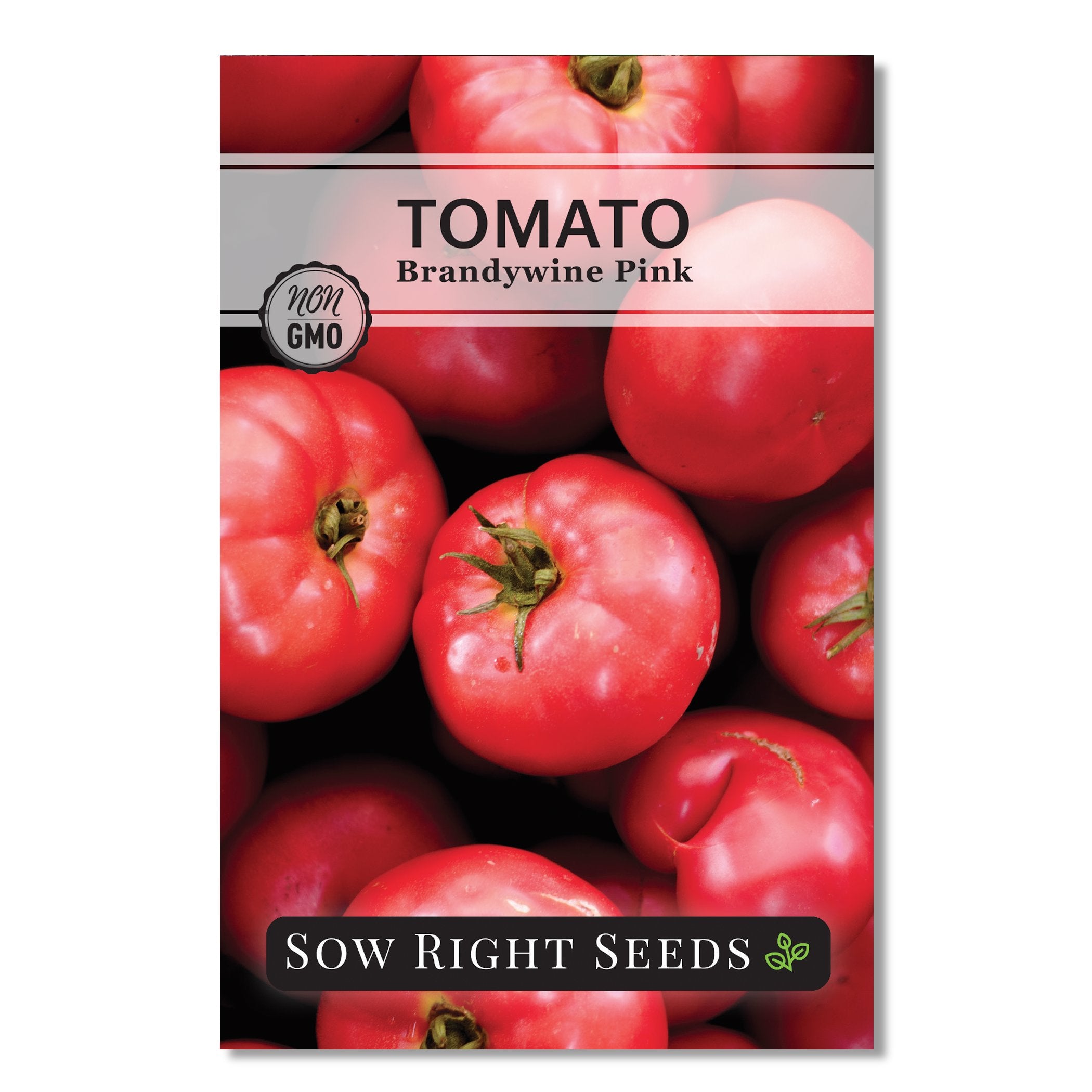 Brandywine Pink Tomato Seeds | Beefsteak-Style Pink Fruits – Sow Right ...