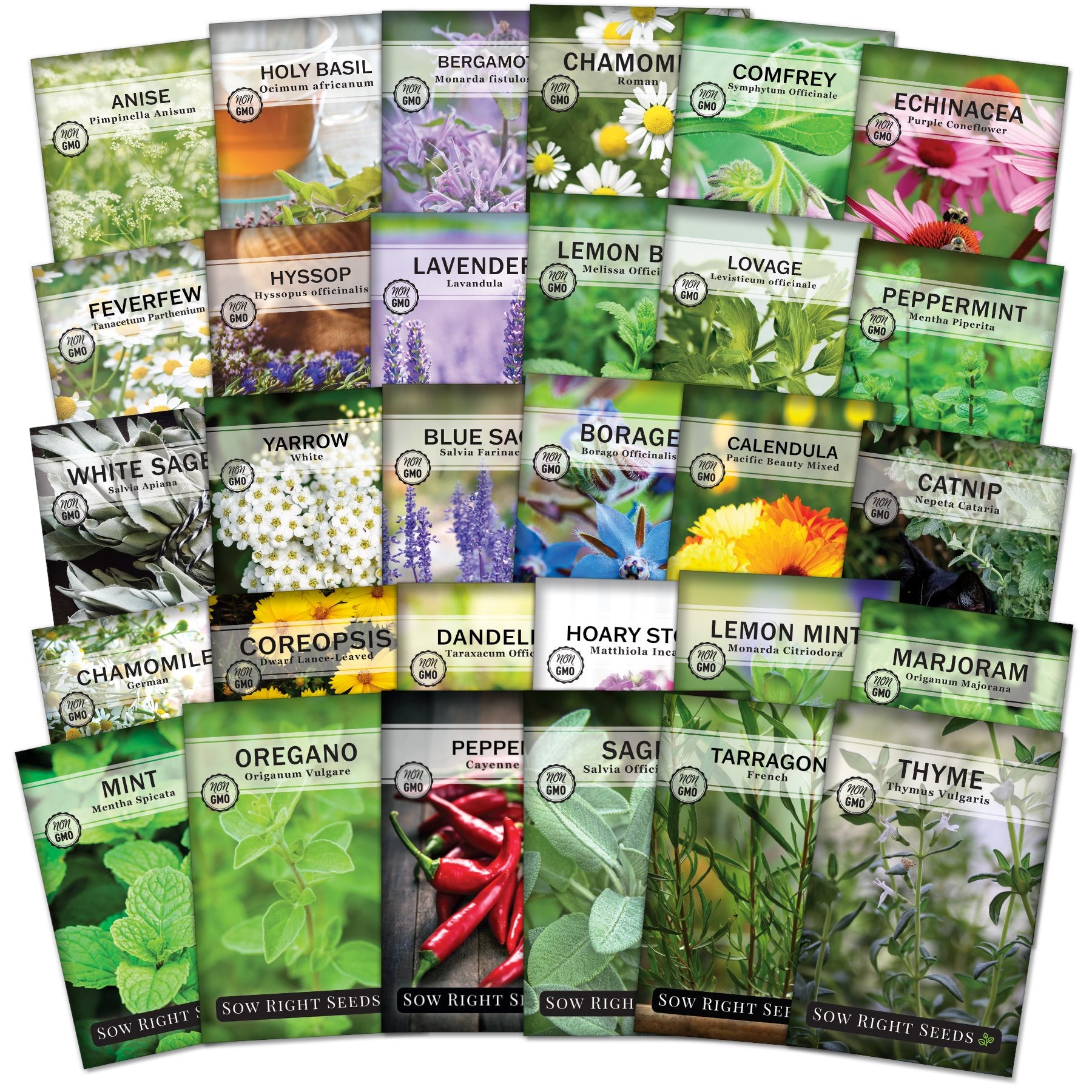 Super Medicinal Herb Seed Collection for Planting - Home Remedies – Sow ...