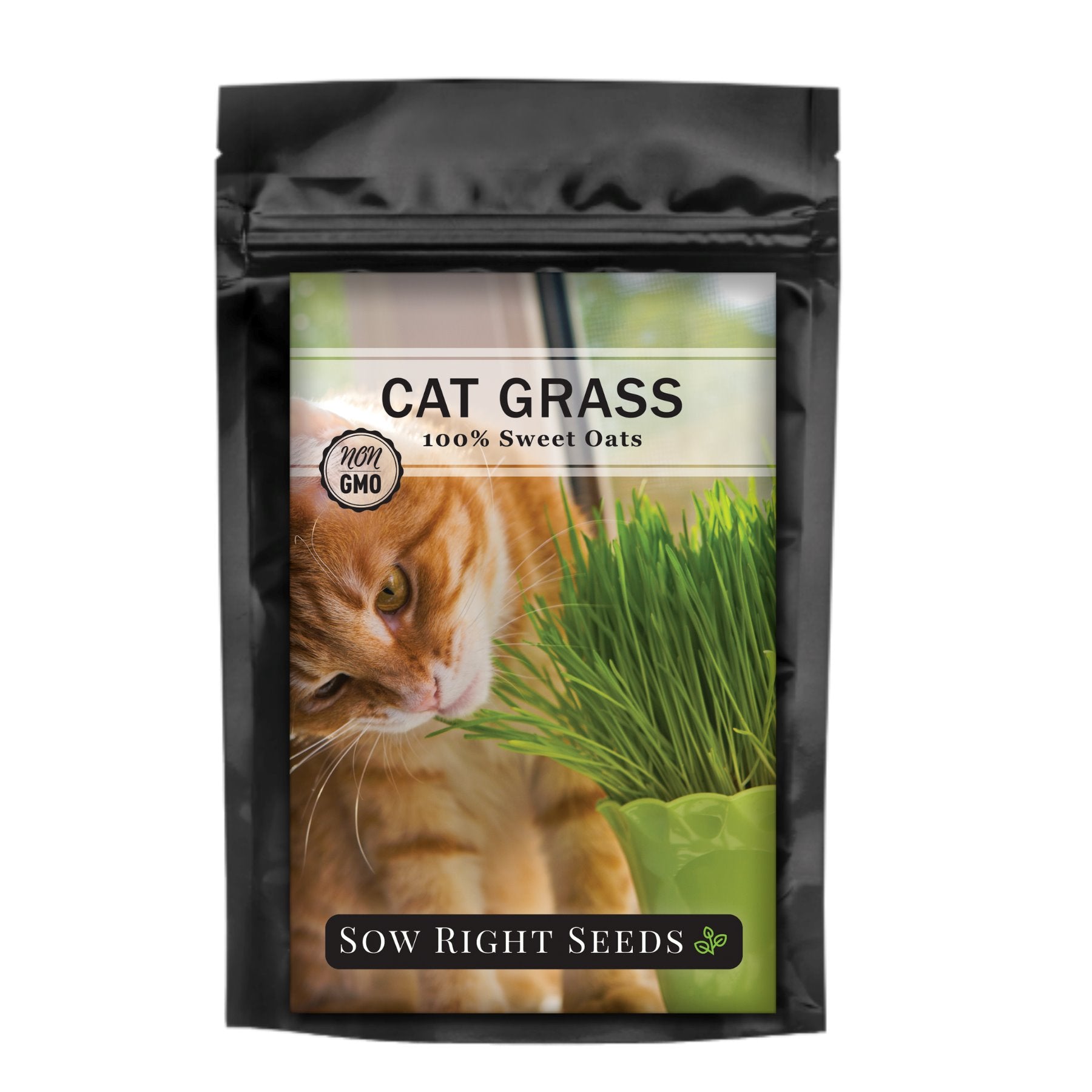 8 oz Bulk Cat Grass Seeds | Sweet Oats for your Pets and Garden – Sow ...