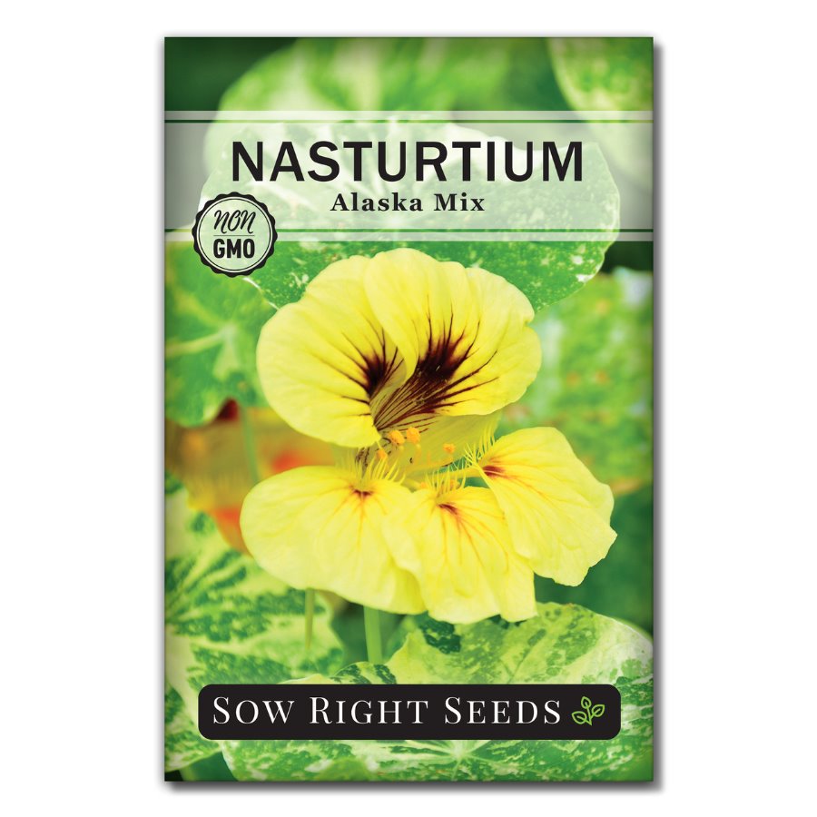 Alaska Mix Nasturtium Seeds | Non-GMO Annual Flower Seeds – Sow Right Seeds