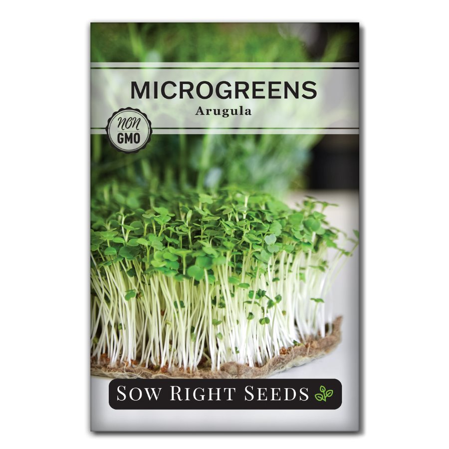 Arugula Microgreen Seeds for Sprouting | Easy to Grow Anytime – Sow ...