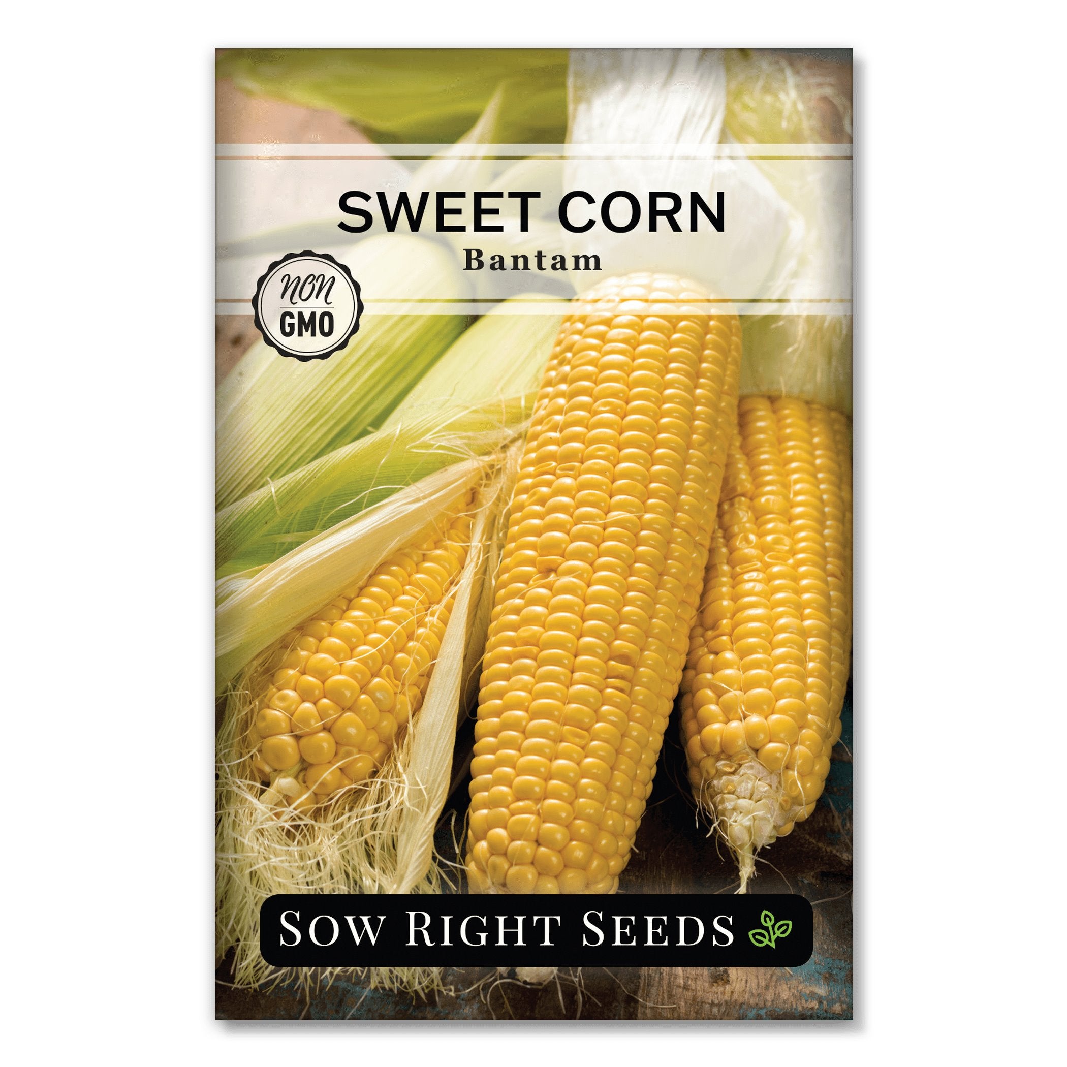 Bantam Sweet Corn Seeds for Planting | Golden Sweet Corn Heirloom – Sow ...
