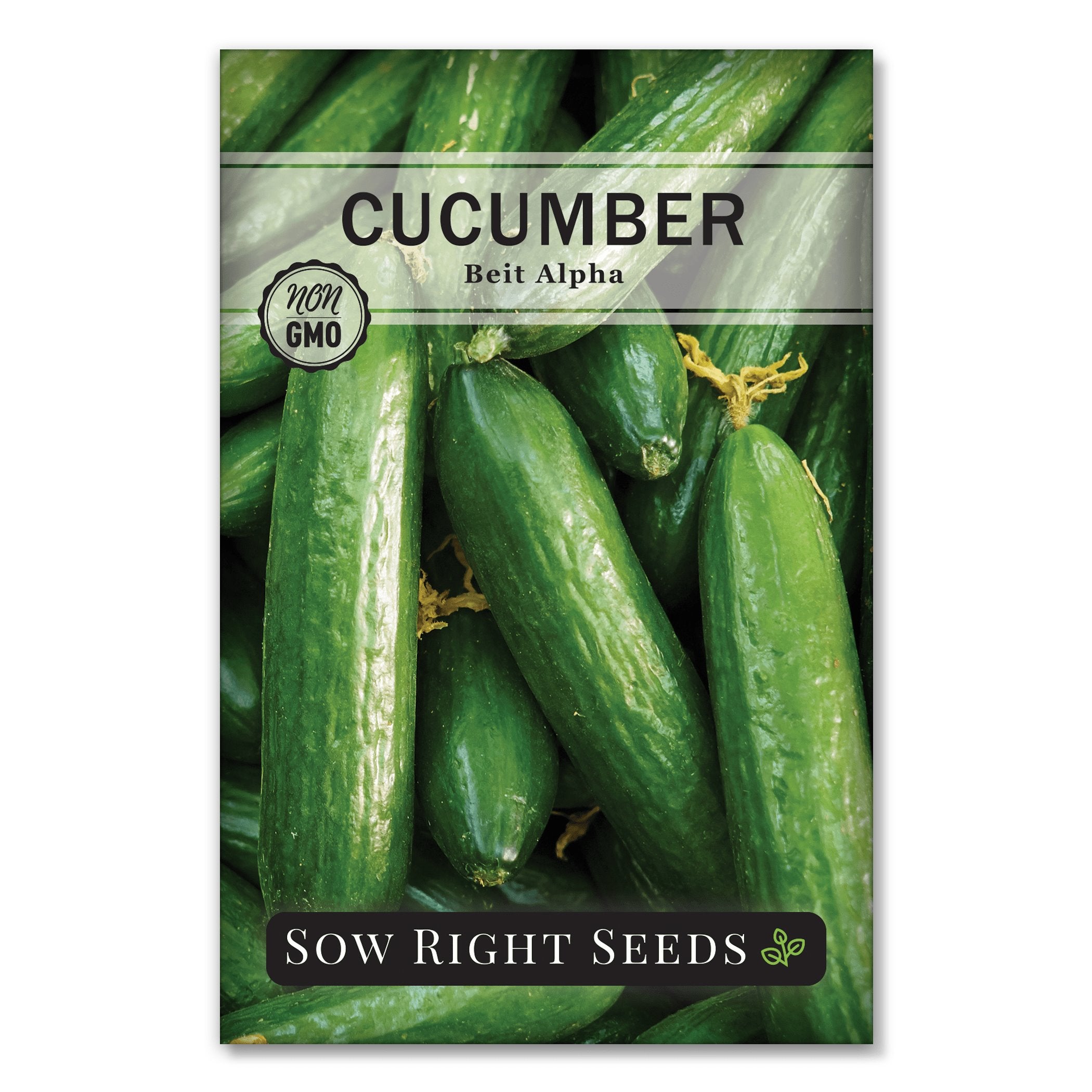 Beit Alpha Cucumber Seeds for Planting | Tender Skin & Burpless – Sow ...