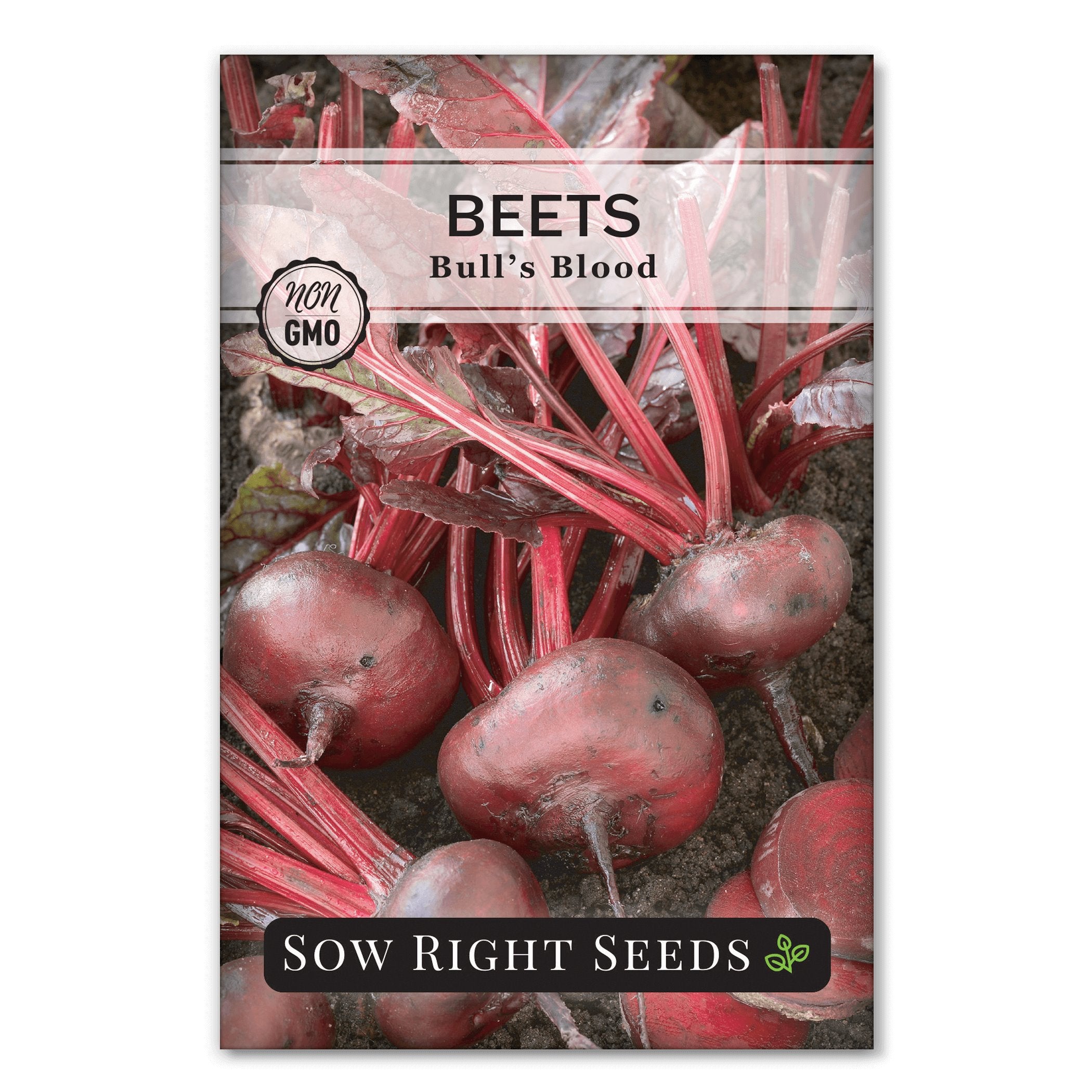 Bull's Blood Beet Seeds | Delicious Red Beets with Tasty Foliage – Sow ...