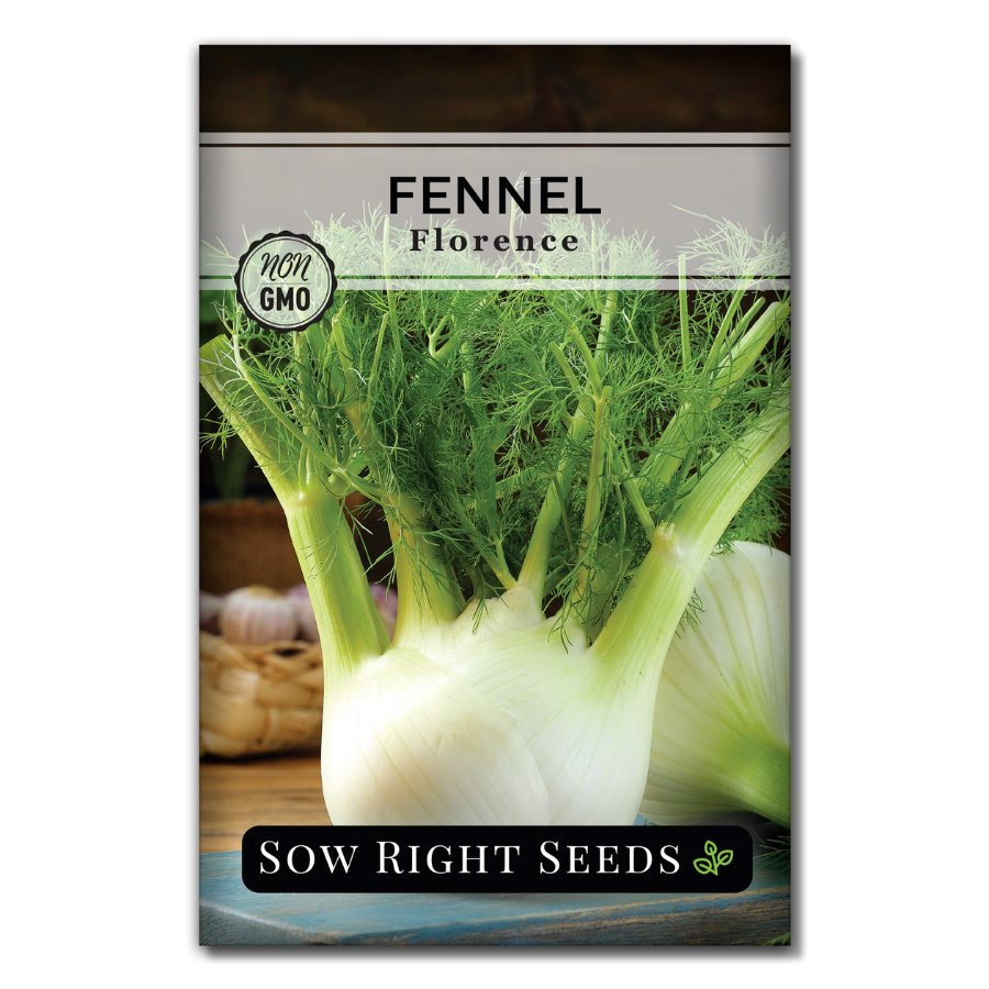Florence Fennel Seeds | Tasty Culinary Herb for Cooking – Sow Right Seeds