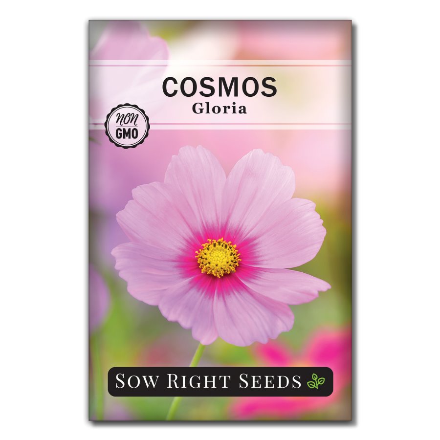 Gloria Cosmos | Tall Pink Cosmos Flowers for Planting – Sow Right Seeds