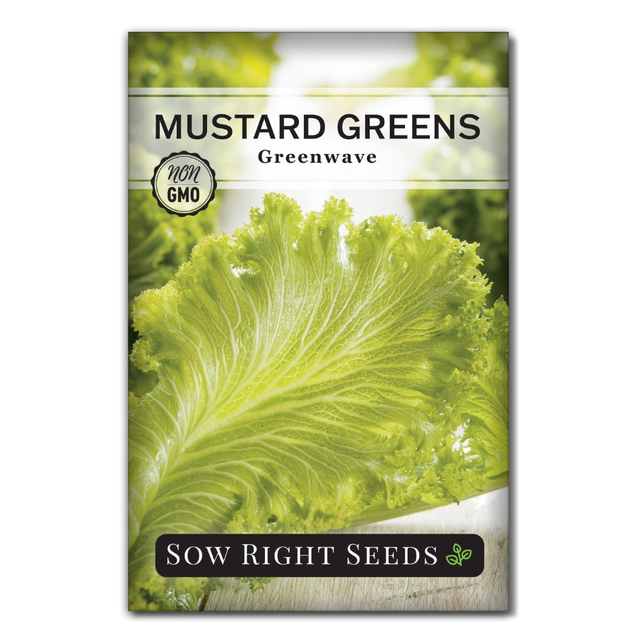 Greenwave Mustard Greens Seeds for Planting | Spicy Power Green – Sow ...