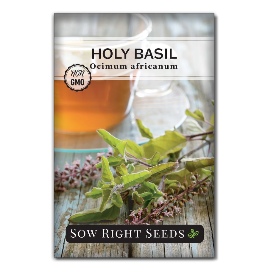 Holy Basil Seeds for Planting | Popular Medicinal Herb – Sow Right Seeds