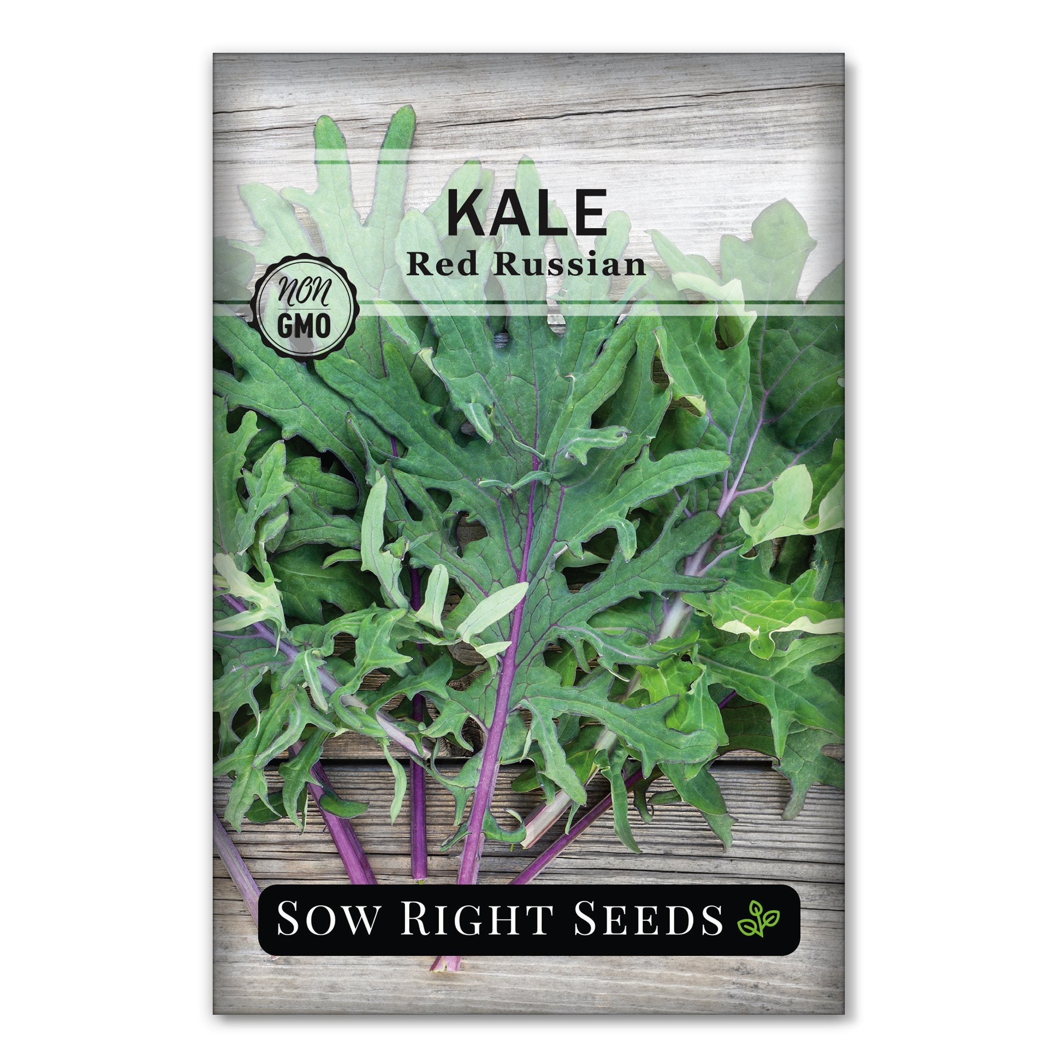 Red Russian Kale Seeds for Planting | Easy to Grow – Sow Right Seeds