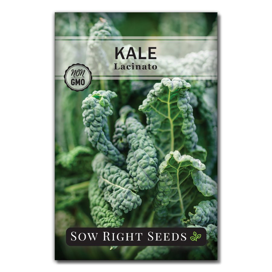 Lacinato Kale Seeds for Planting | Delicious Dinosaur Kale – Sow Right ...