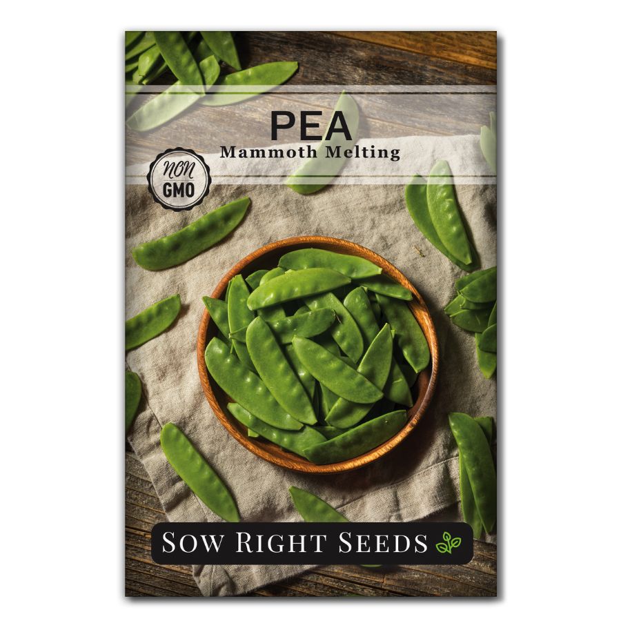 Mammoth Melting Pea Seeds for Planting | Flavorful Snow Pea – Sow Right ...