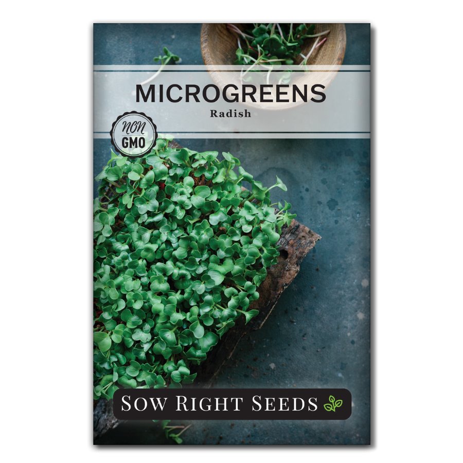 Radish Microgreen Seeds for Sprouting | Easy to Grow Anytime – Sow ...