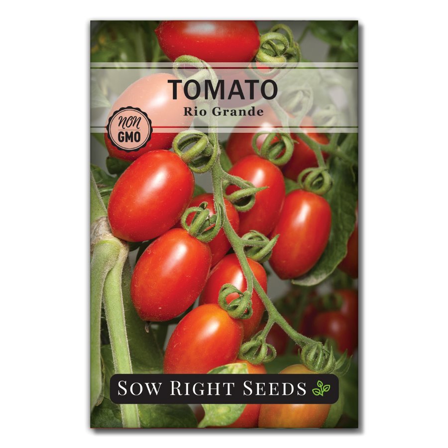 Rio Grande Tomato Seeds for Planting | Great Snacking Variety – Sow ...