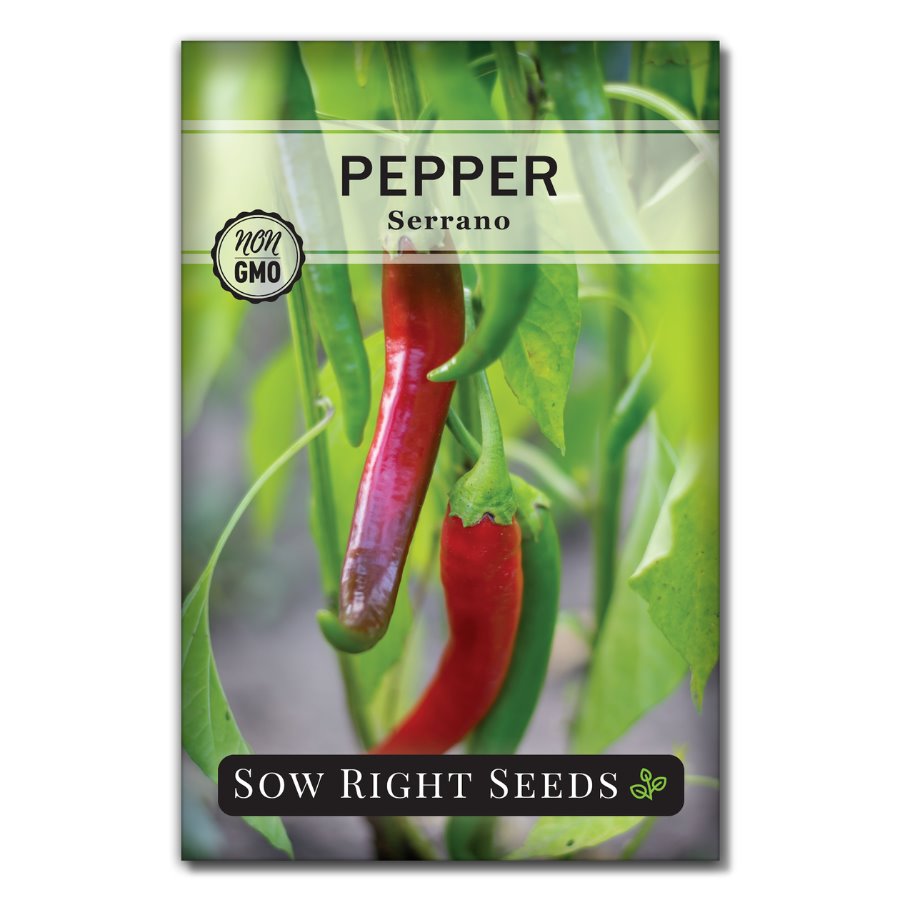 Serrano Pepper Seeds for Planting | Heat Packed Variety – Sow Right Seeds