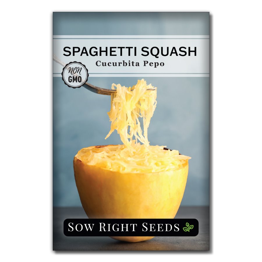 Spaghetti Squash Seeds for Planting | Tasty Pasta Alternative – Sow ...