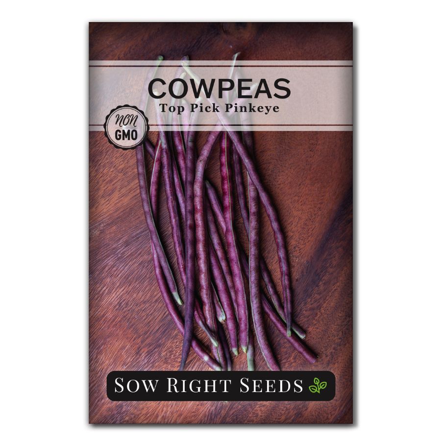Top Pick Pinkeye Cowpea Seeds for Planting | Productive Southern Pea ...