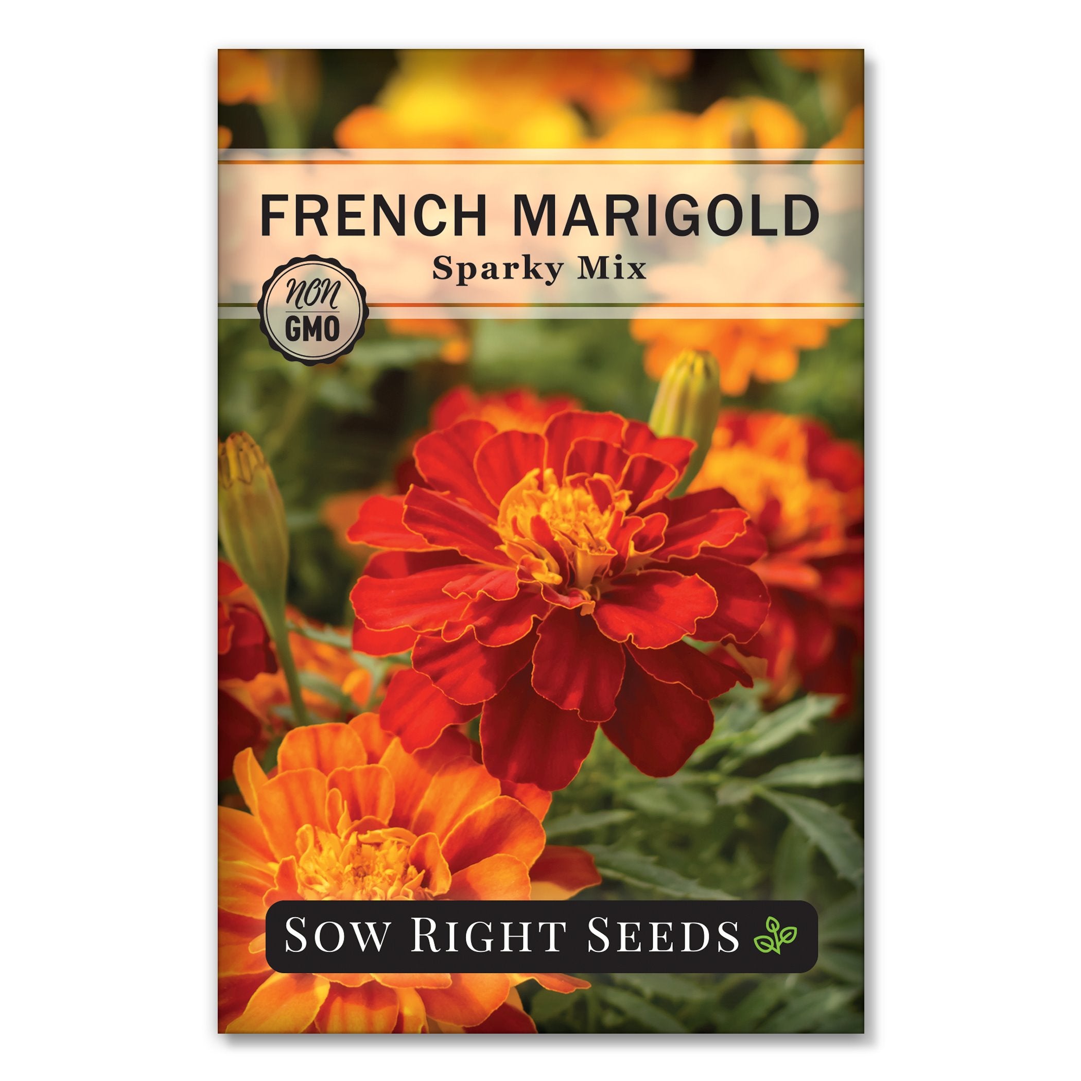 Sparky Mix Marigold Seeds | Vegetable Garden Companion Plant – Sow ...